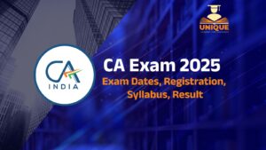 ICAI CA Inter Syllabus Auditing Study Material : Group 2 2025 - Unique ...
